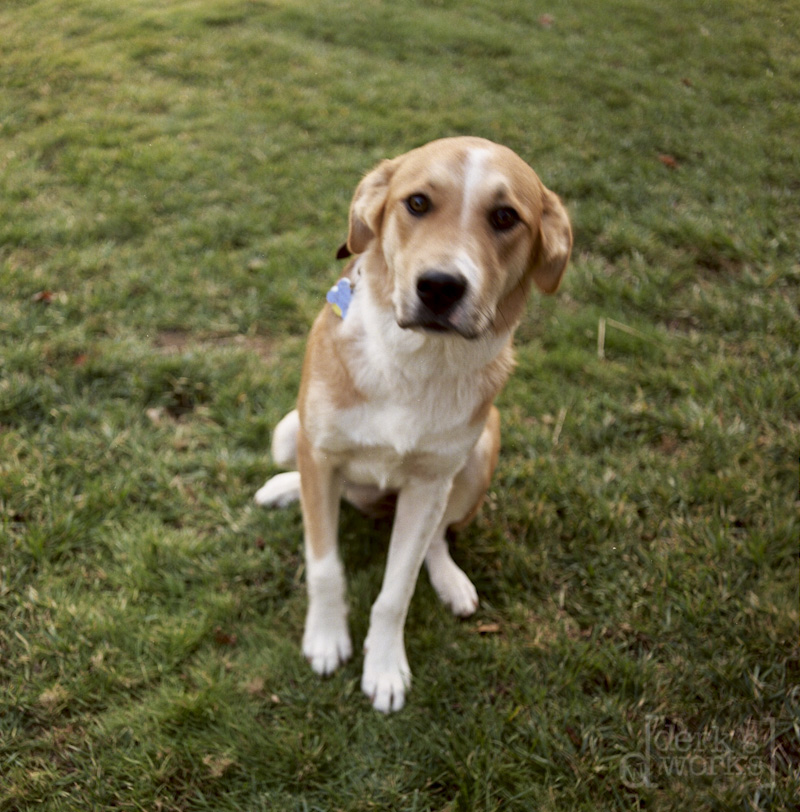 The Derkin Family \\ Film - Derk's Works